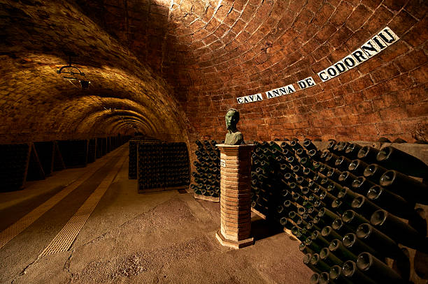 What Is Cava Wine - Home Kitchenex